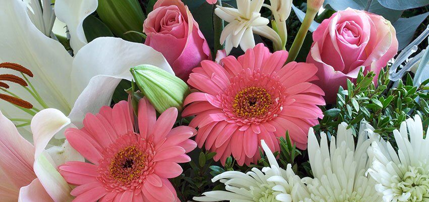 Department of Agriculture saves Valentine’s Day